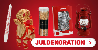 Maskeradkläder, Partyprylar och Presenter på Partykungen.se